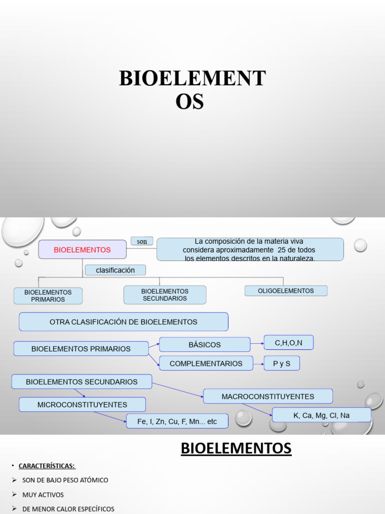 Bioelementos: Clasificación y Funciones | PDF | Agua | Metabolismo