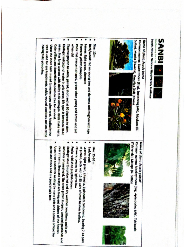 Document 7 | PDF