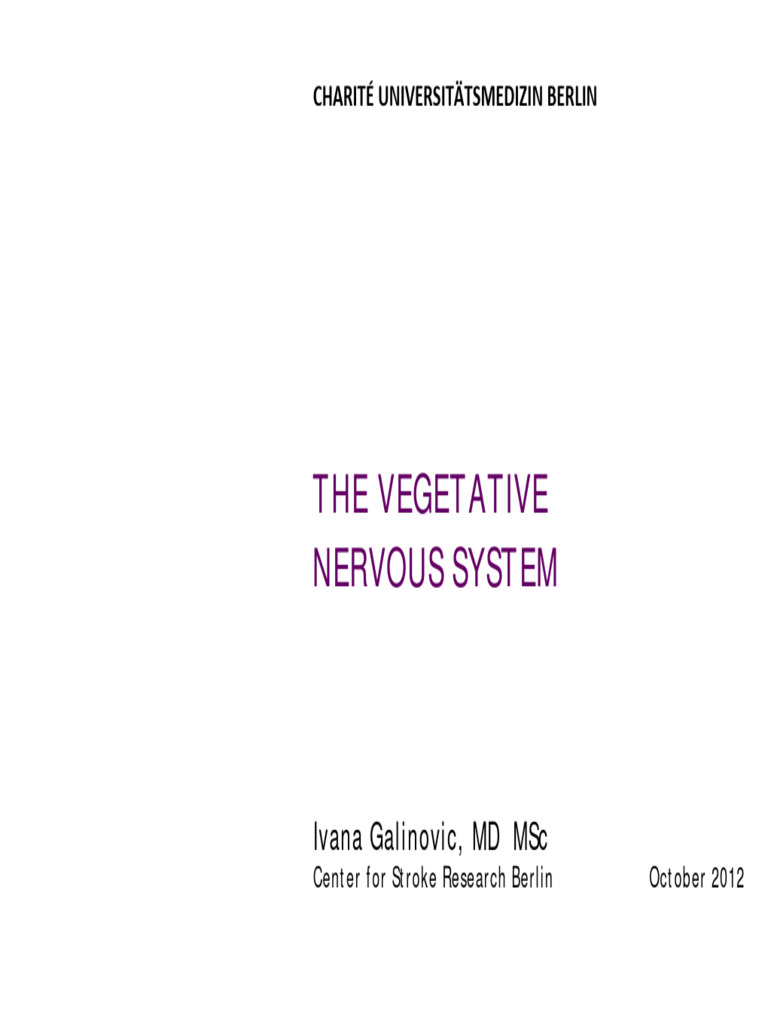 Understanding the Vegetative Nervous System | PDF | Acetylcholine ...