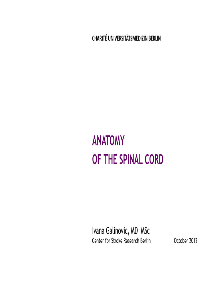 1.5 Overall Anatomy of The Spinal Cord | PDF | Spinal Cord | Neuroanatomy