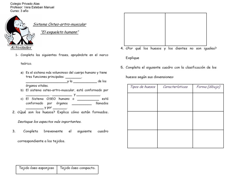 Sistema Osteo Artro Muscular | PDF