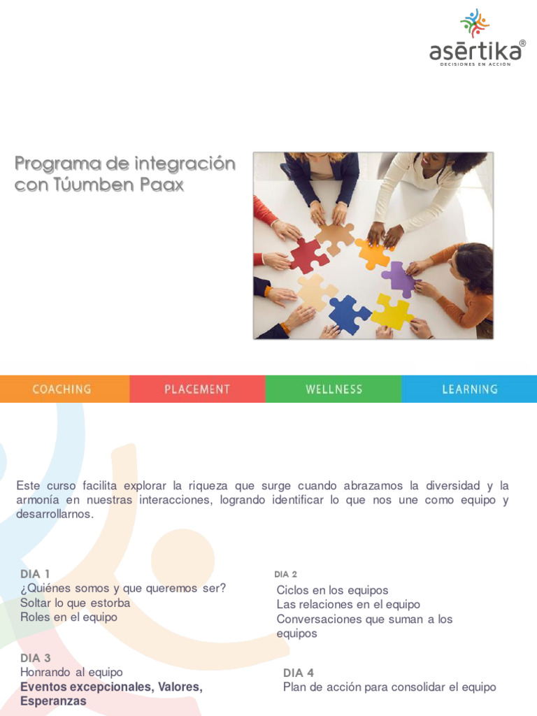 Programa de Integración - Sesión 1 | PDF | Cognición
