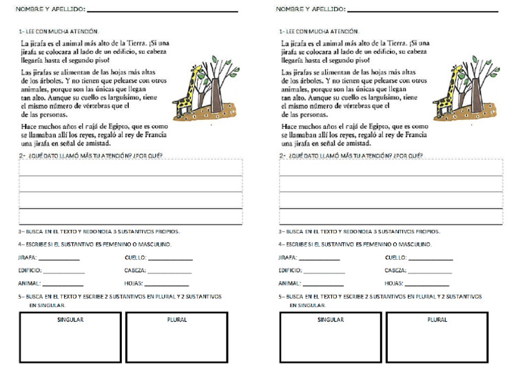 Trabajo Comprensión y Sustantivos | PDF