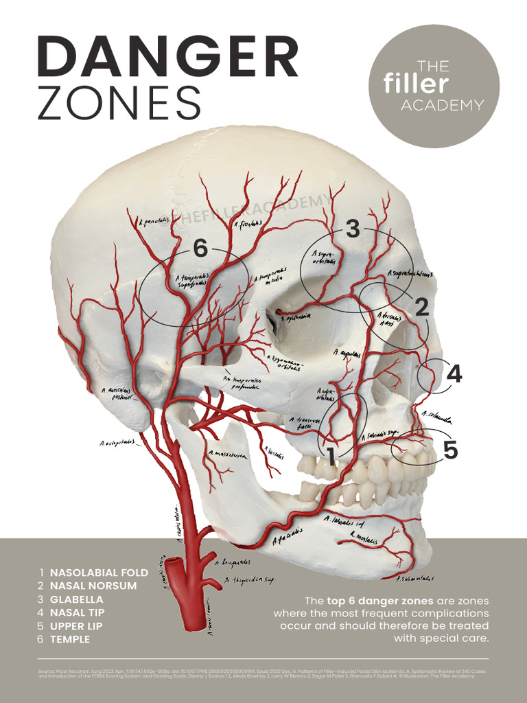 Danger zones | PDF | Human Nose | Blood Vessel