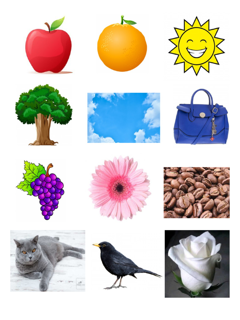 12 Colores | PDF