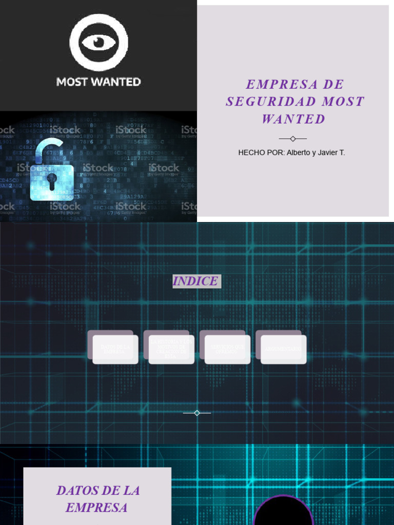 Seguridad Most Wanted | PDF | Business | Economias