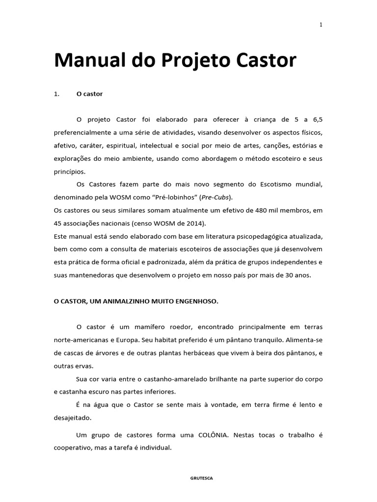 Manual Projeto Castor | PDF | Aprendizado | Pensamento