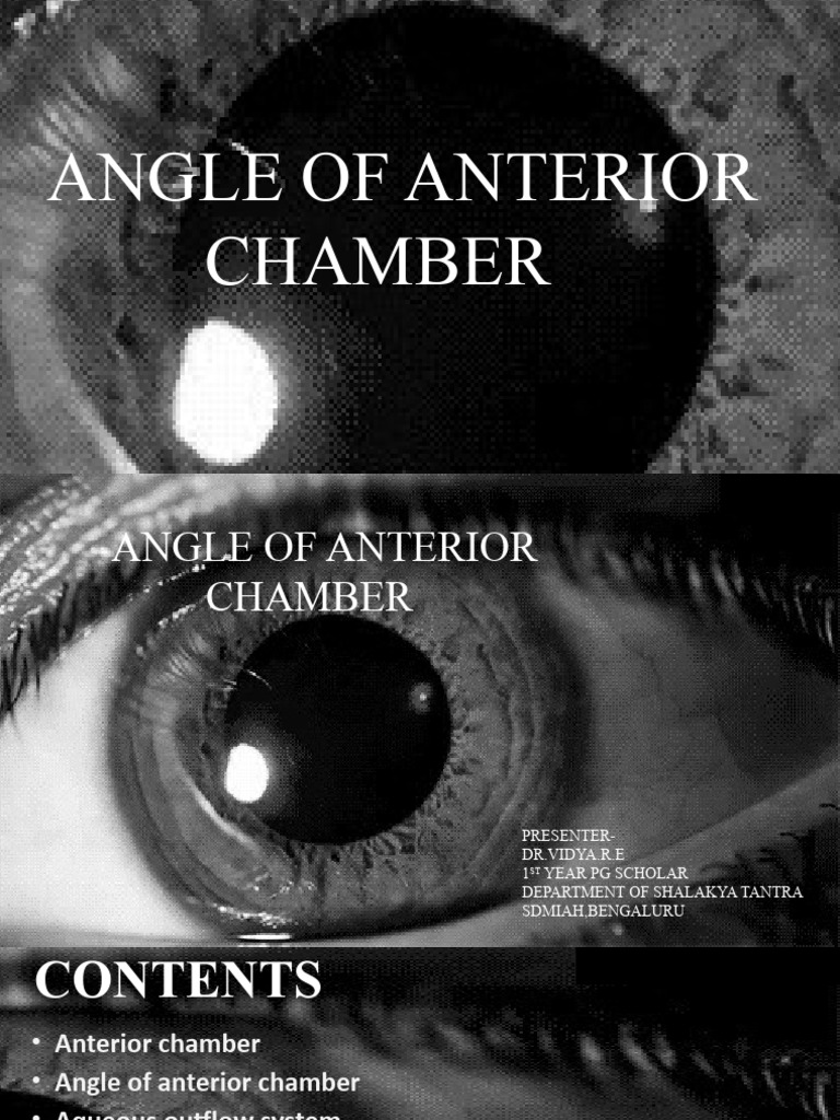 Angle of Anterior Chamber. | PDF | Vein | Cornea