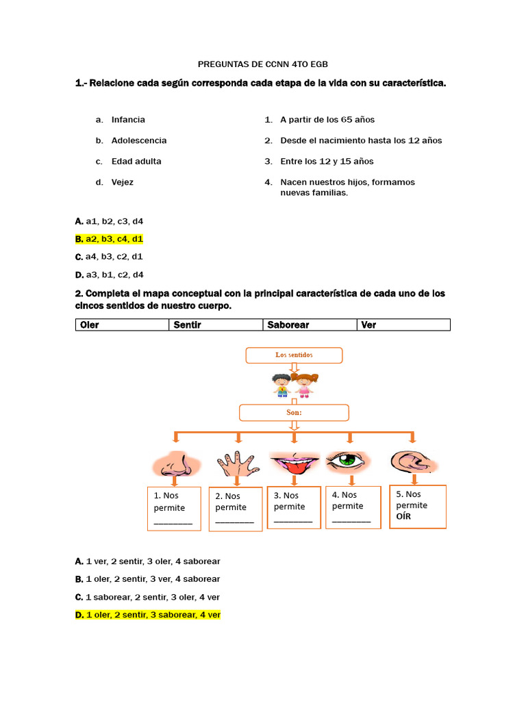 Preguntas de CCNN 4to Egb | PDF | Alimentos