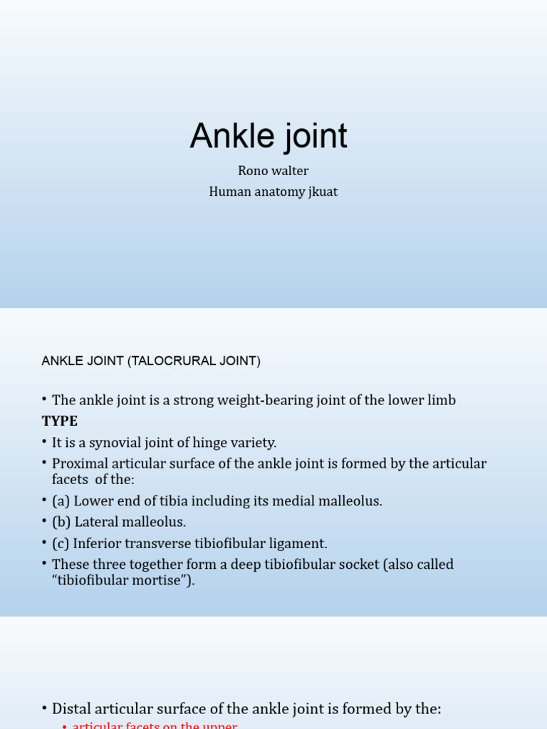 Ankle joint | PDF | Ankle | Soft Tissue