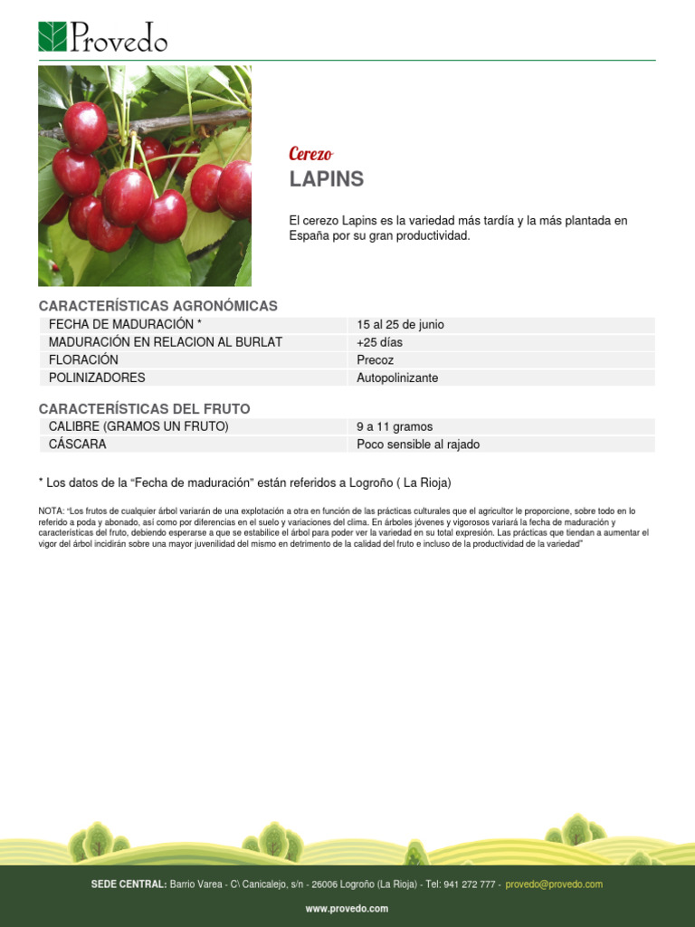 Provedo Lapins | PDF