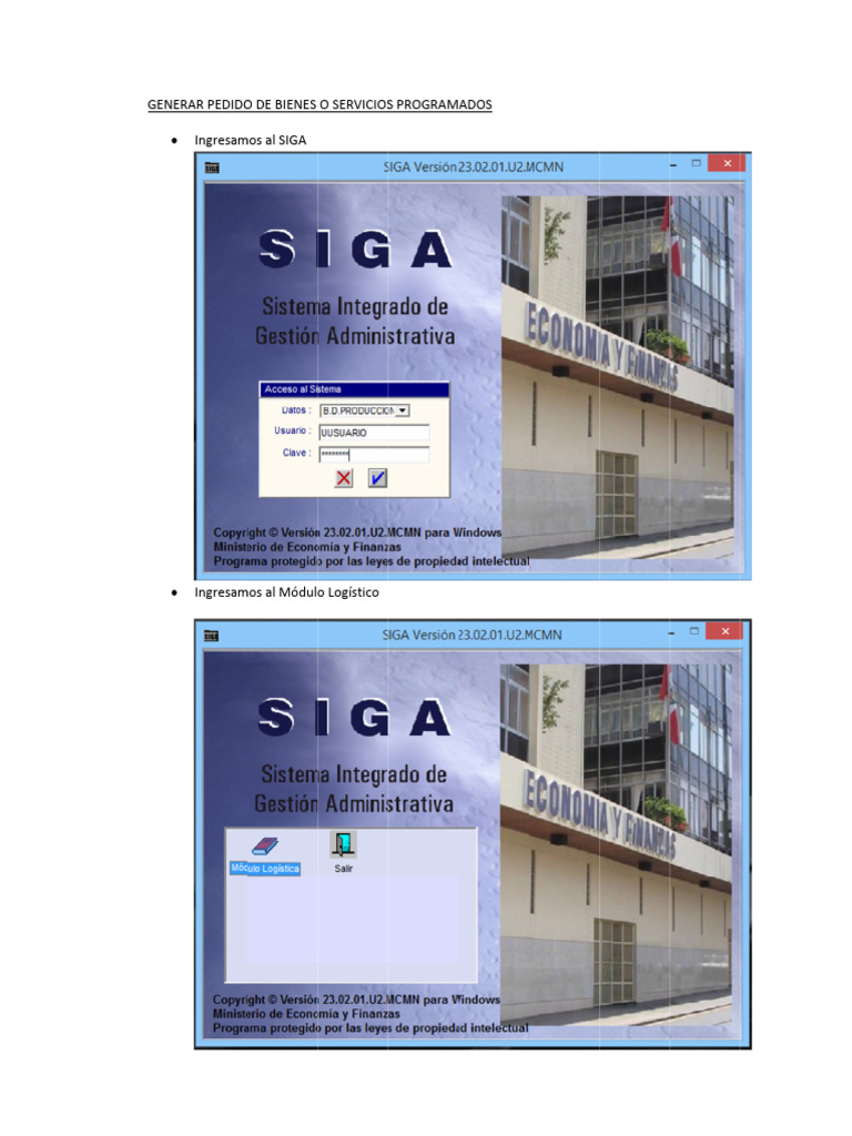 Manual Generar Pedidos SIGA y ANEXOS 4 y 5 | PDF