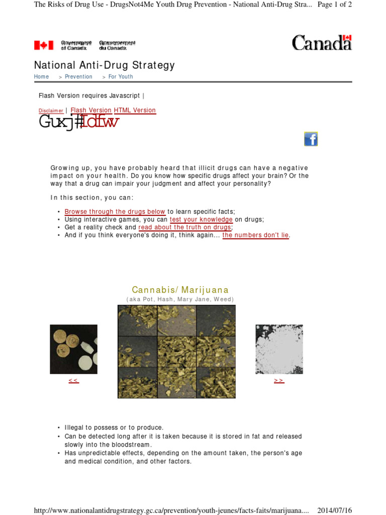 Youth Drug Prevention: Marijuana Facts | PDF | Cannabis (Drug ...