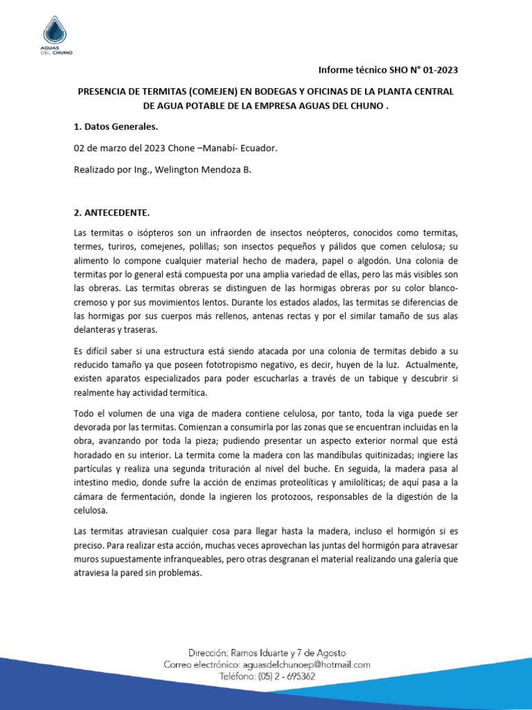 Informe 02 - 2023 | PDF