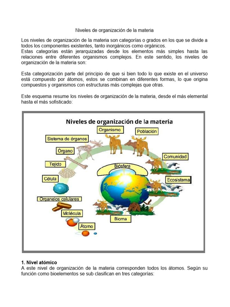 Niveles de Organizaci-N de La Materia | PDF | Organismos | Biología Celular)