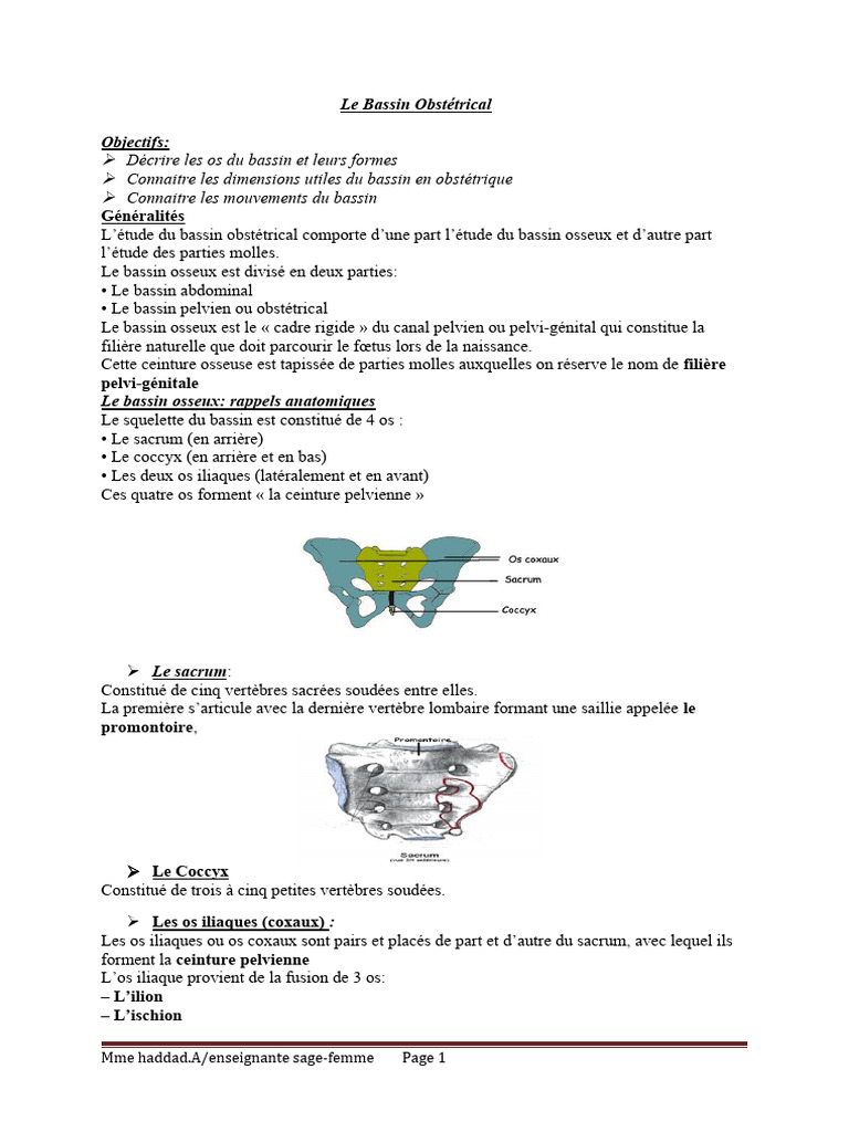 Anatomie du Bassin Obstétrical | PDF | Bassin (anatomie) | Appareil ...