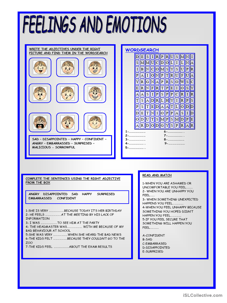 FEELINGS AND EMOTIONS | PDF | Emotions | Psychology