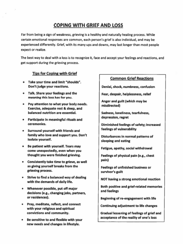 Coping With Grief and Loss | PDF