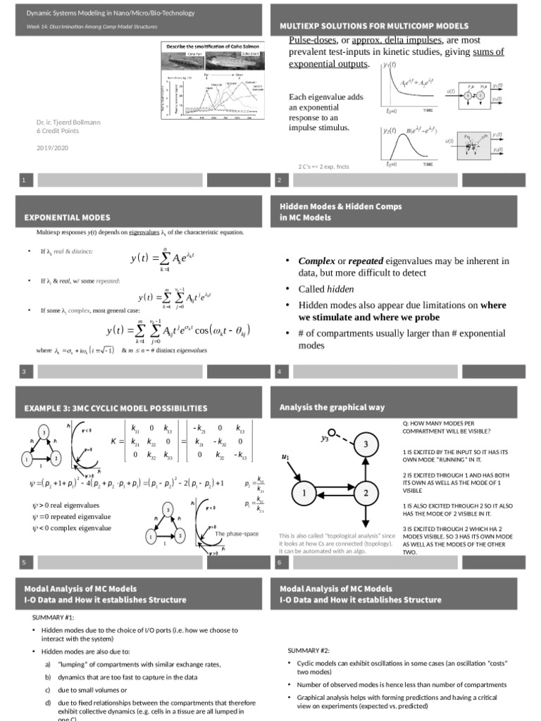 Discrimination Among Comp Model Structures | PDF