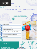 TP Bactériologie Galerie API | PDF | Microbiologie | Bactérie