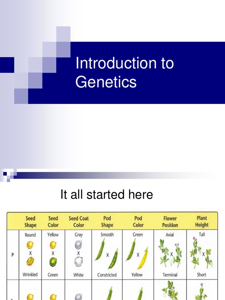 Introduction to Genetics | Dominance (Genetics) | Heredity