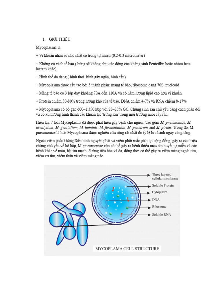 MYCOPLASMA | PDF