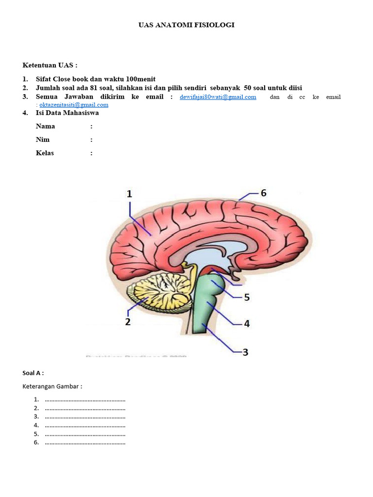 UAS Praktikum - Anfis DIV TEM - Ganjil 2022-2023 | PDF