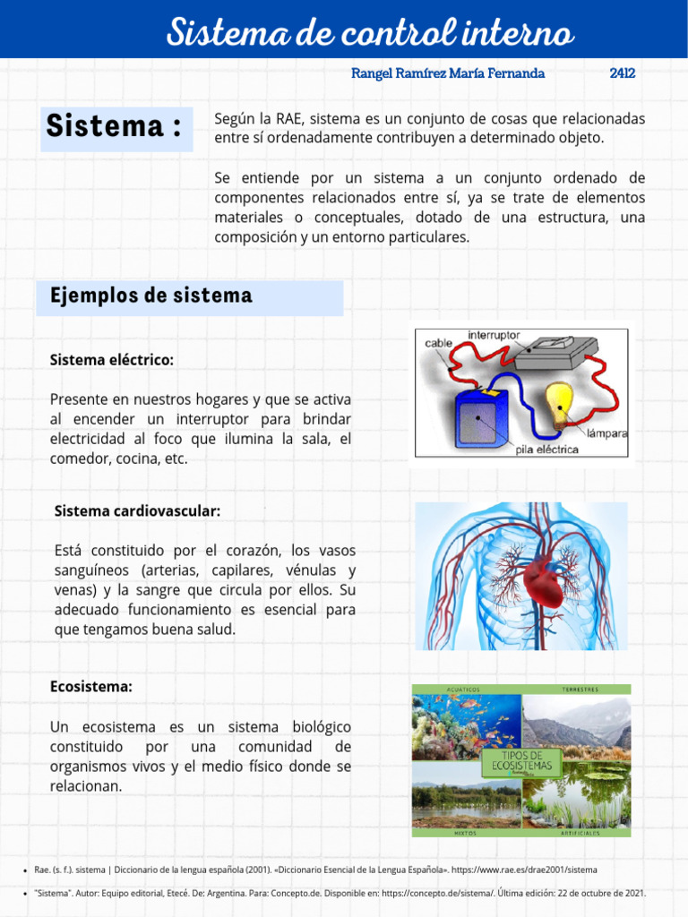 Sistemas de Control Interno | PDF