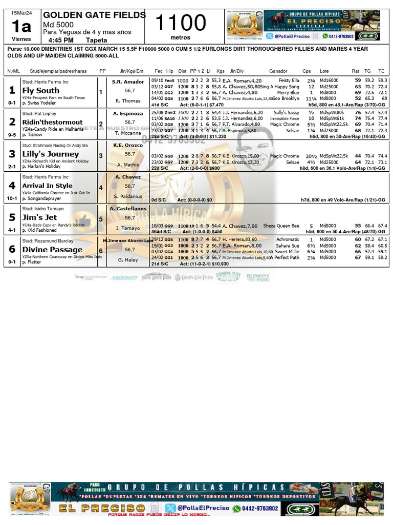 Gg 20240315 | PDF | Horse Racing | Thoroughbred Racehorses