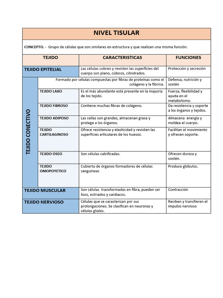 Nivel Tisular Pdf Tejido Conectivo Hueso