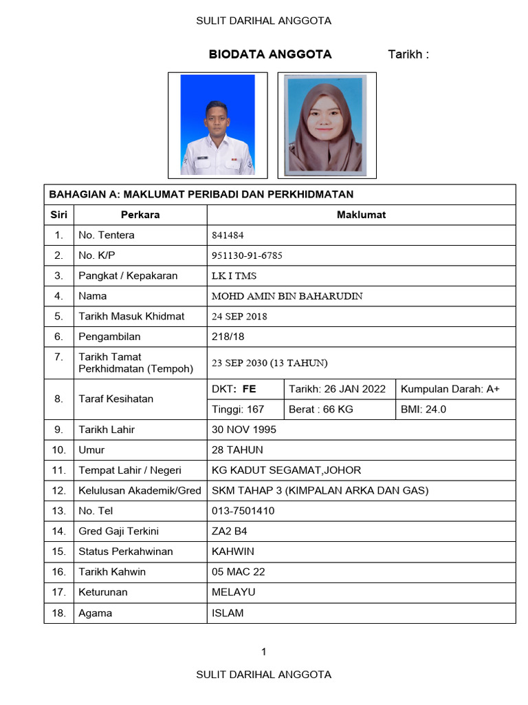 Biodata Amin Pdf