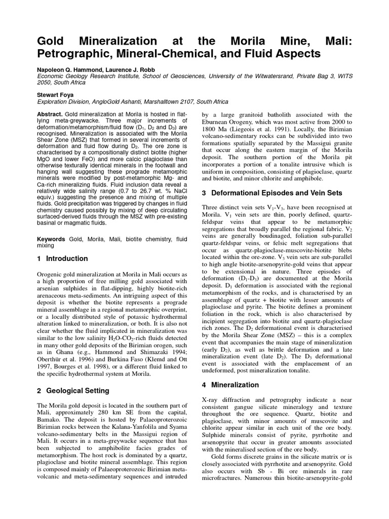 Hammond Et Al - Gold Mineralization at The Morila Mine, Mali | PDF ...
