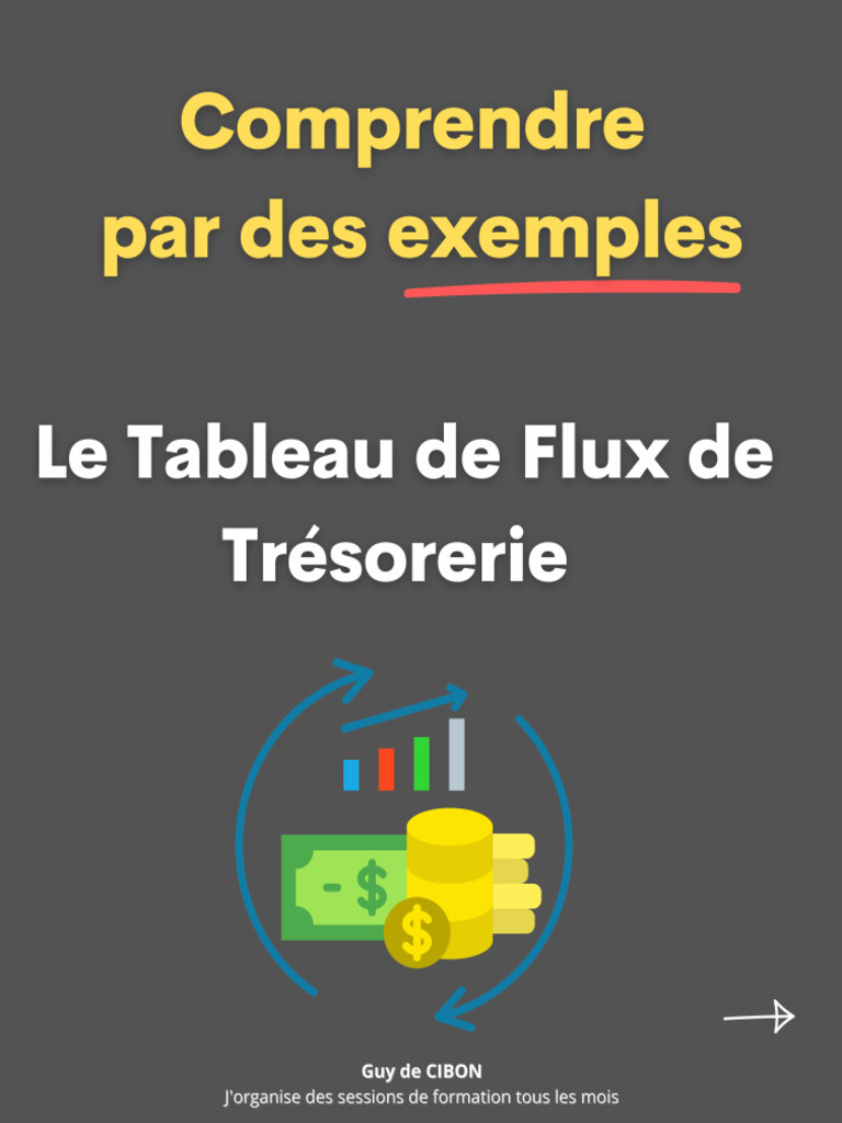 Le Tableau de Flux de TR Sorerie Par L Exemple 1685044995 | PDF