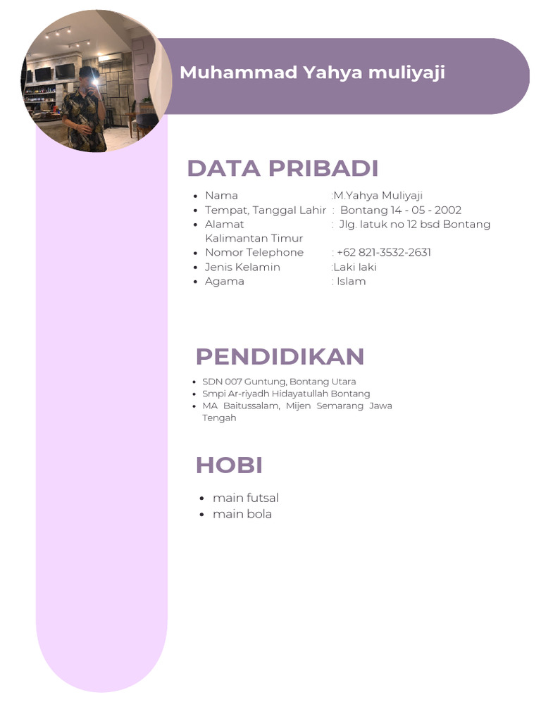 Blue Light Blue Color Blocks Physician CV | PDF | Computing | Software