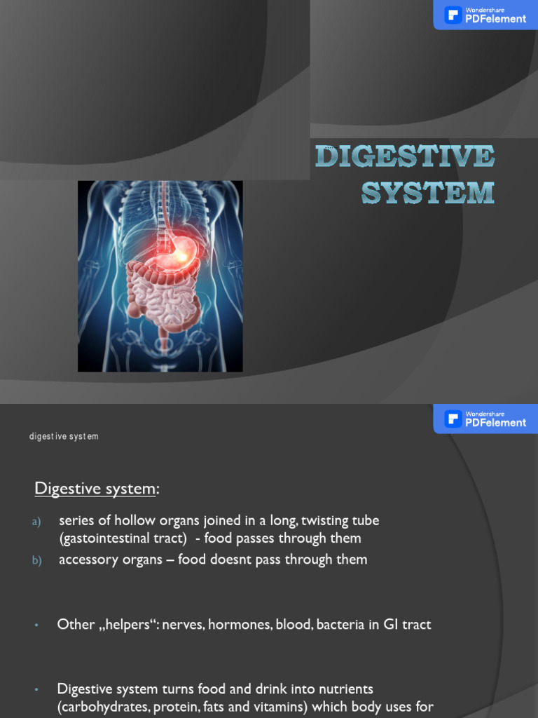 Urinary system 123 | PDF | Gastrointestinal Tract | Digestion