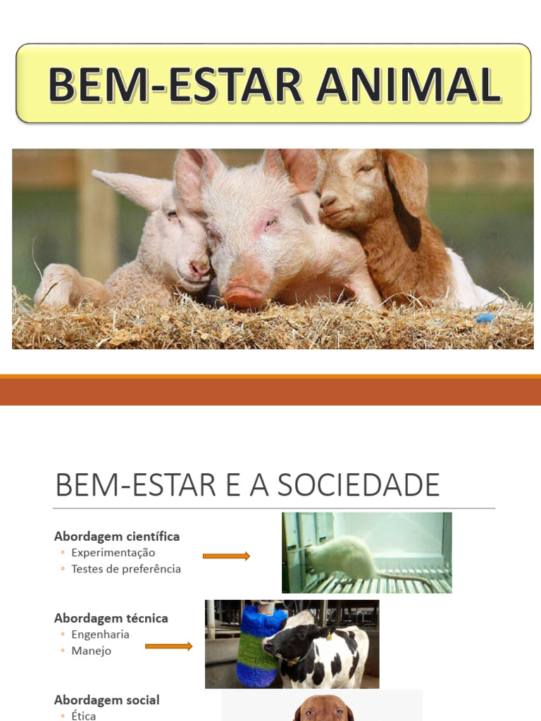 Bem estar animal | PDF | Bem-estar animal | Estresse (Biologia)