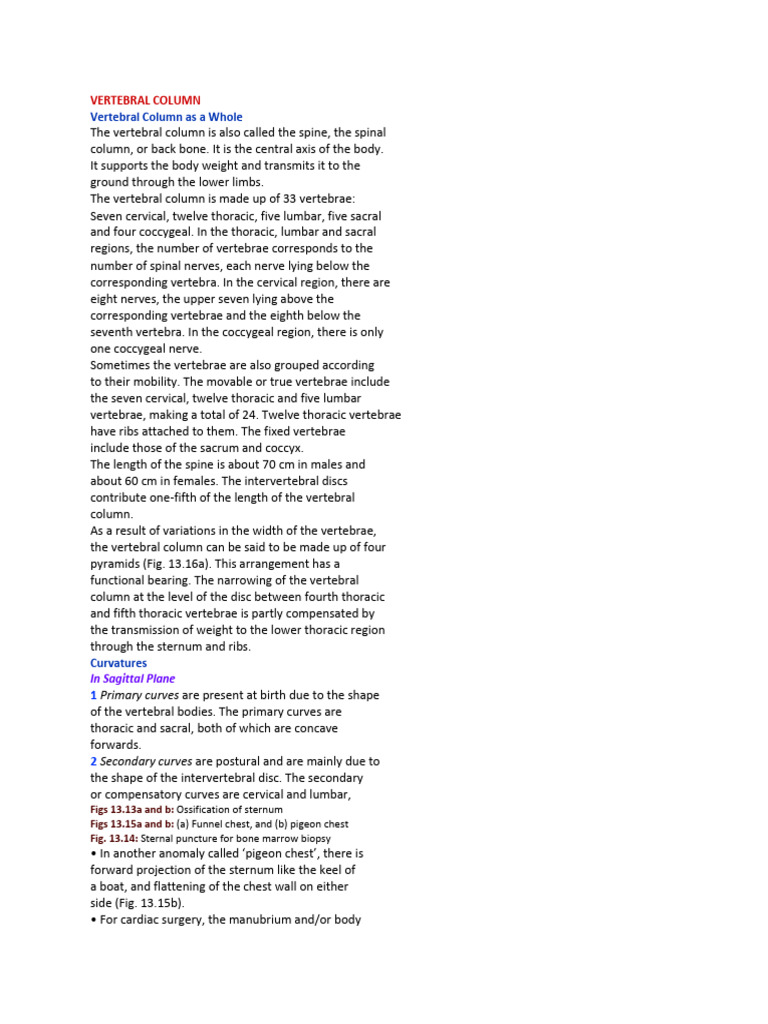 Vertebral Column Pdf Vertebra Vertebral Column