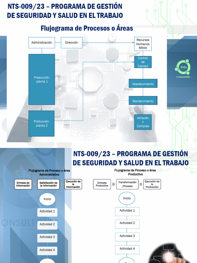 Flujograma de Procesos o Areas | PDF | Business | Economias