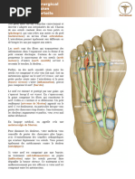 Chapitre 2 - Diagnostic D - Une Monoarthrite | PDF | Arthrose ...