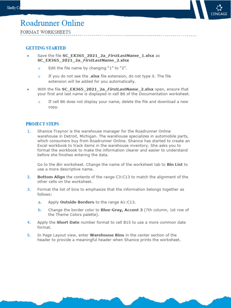Instructions SC EX365 2021 2a | PDF | Microsoft Excel