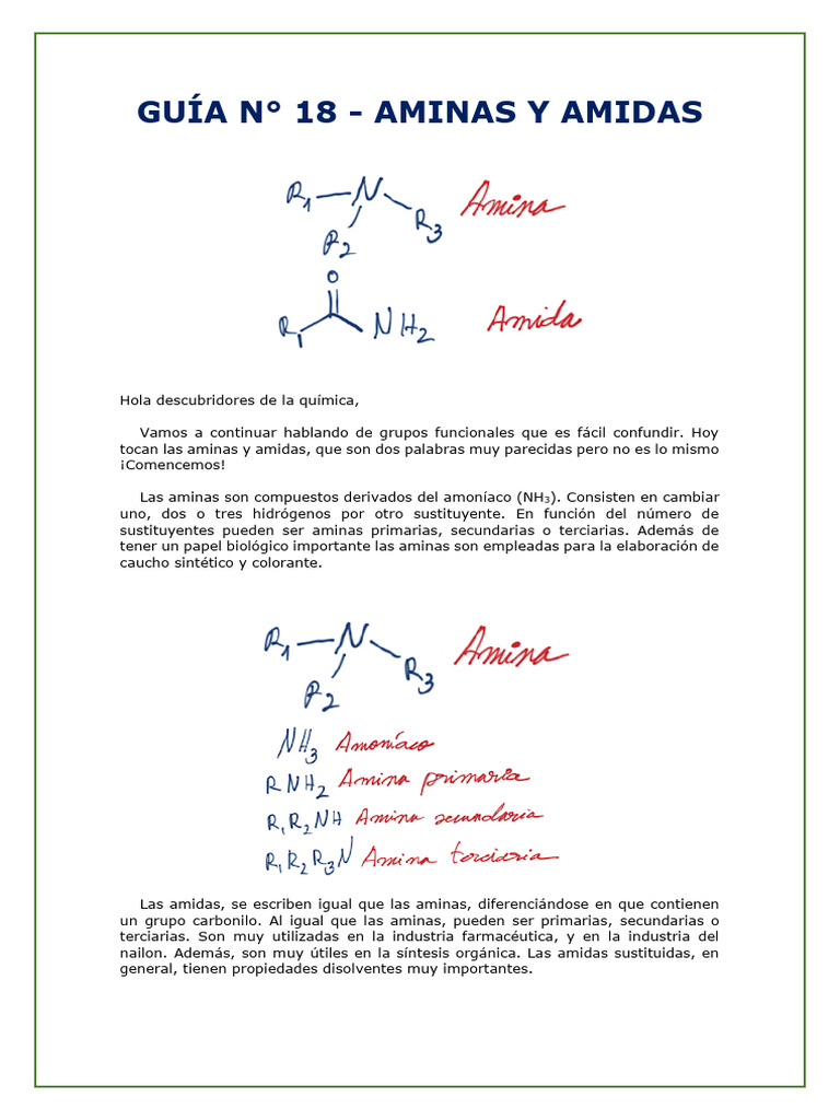 GUÍA N° 18 - AMINAS Y AMIDAS | PDF