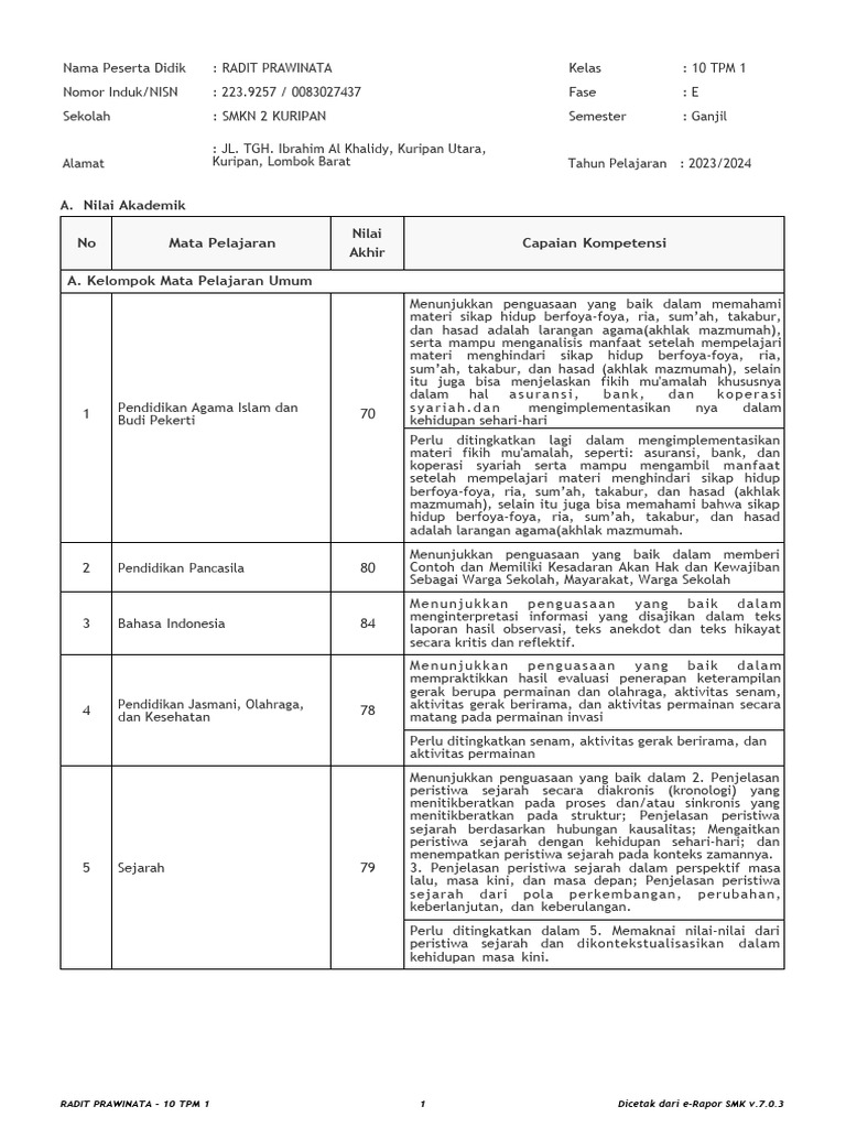 Rapor Radit Prawinata - 10 TPM 1 | PDF