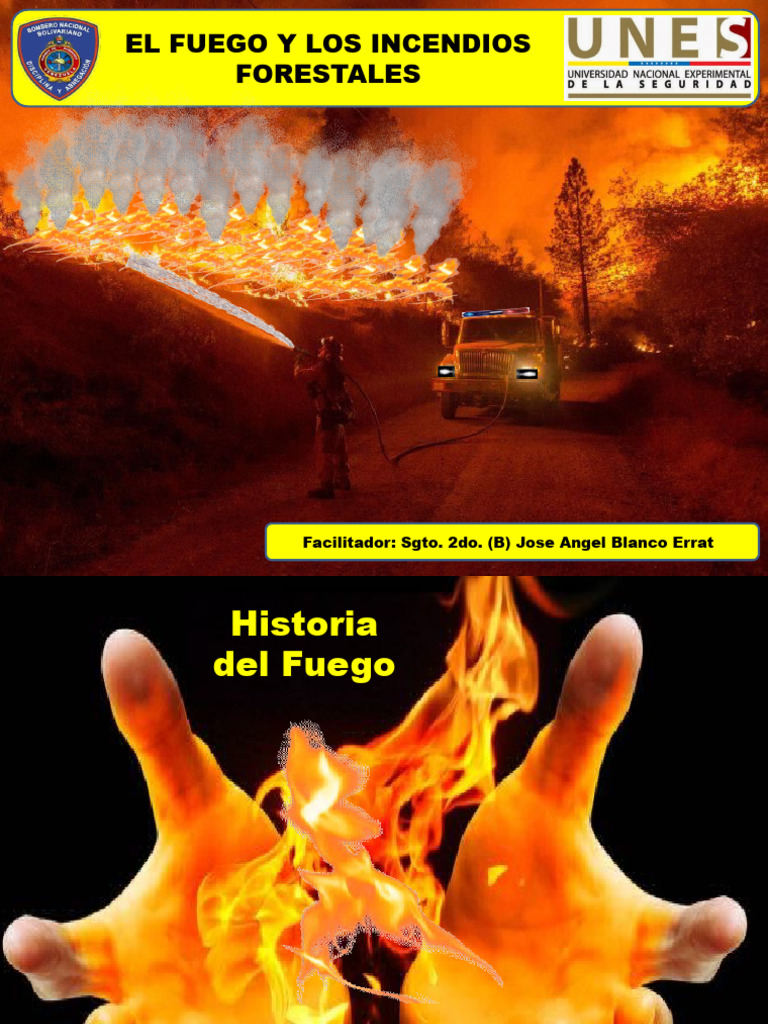 El Fuego y Los Incendios Forestales | PDF | Fuego fatuo | Combustión