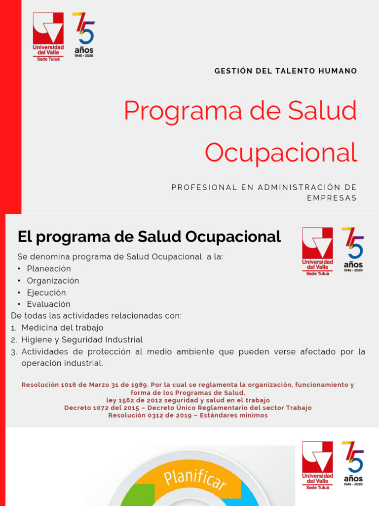 Programa de Salud Ocupacional | PDF | Seguridad y salud ocupacional | Riesgo