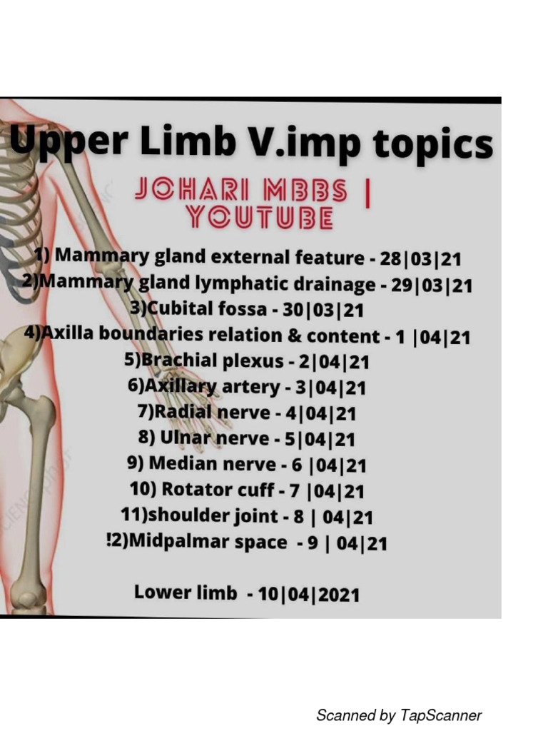 UPPER LIMB ANATOMY MBBS | PDF