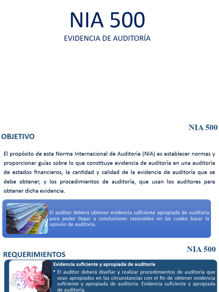 Nia 500 | Descargar gratis PDF | Auditoría