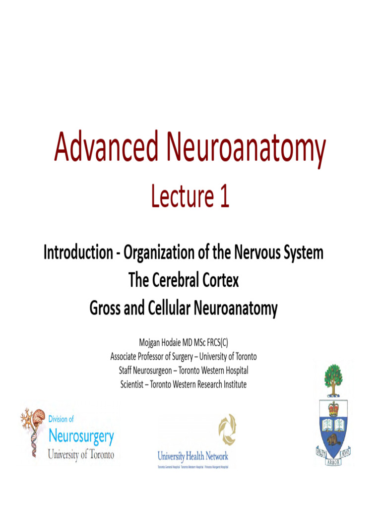 Lecture 1 Neuroanatomy 2016 | PDF | Cerebral Cortex | Cerebrospinal Fluid