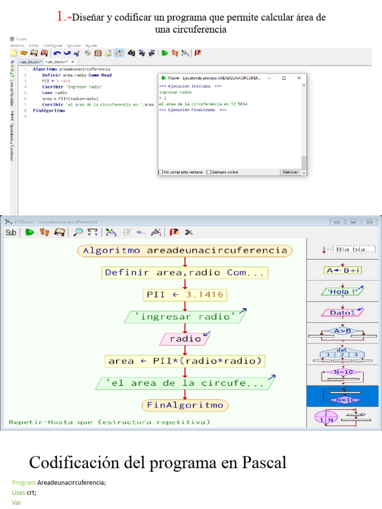 Programación Pascal: Ejercicios Básicos | PDF | Métodos y materiales de enseñanza | Informática