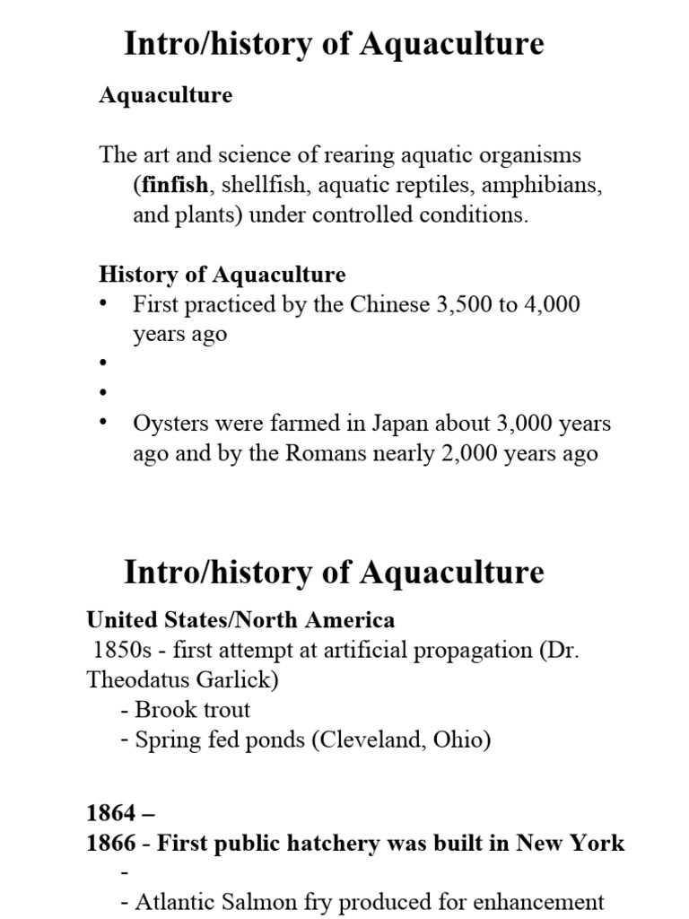 Lecture 1 Introduction&History | PDF