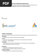 UG Powerpoint Template | PDF